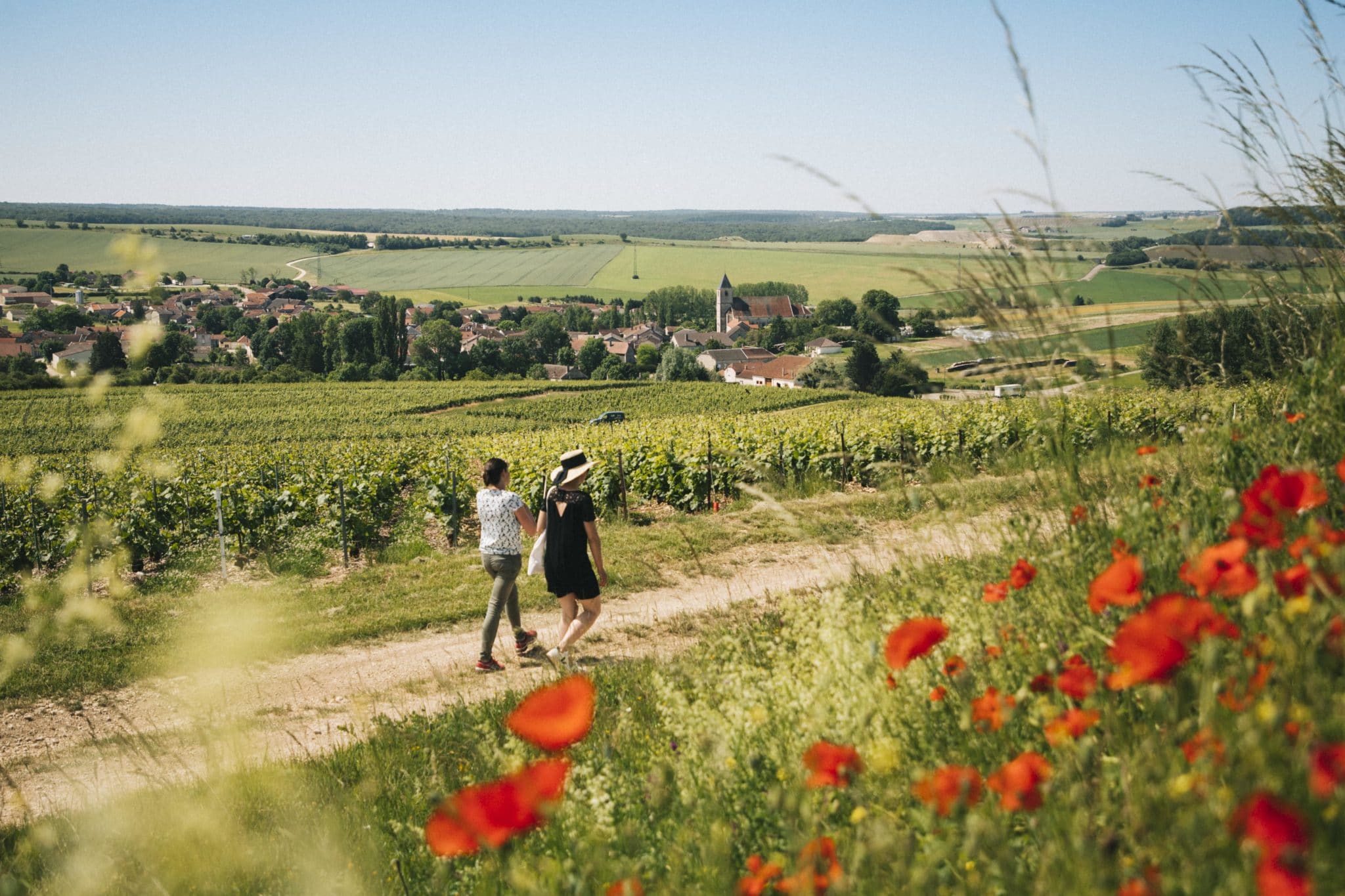 Tourisme Côte des Bar | Préparez votre séjour en Champagne