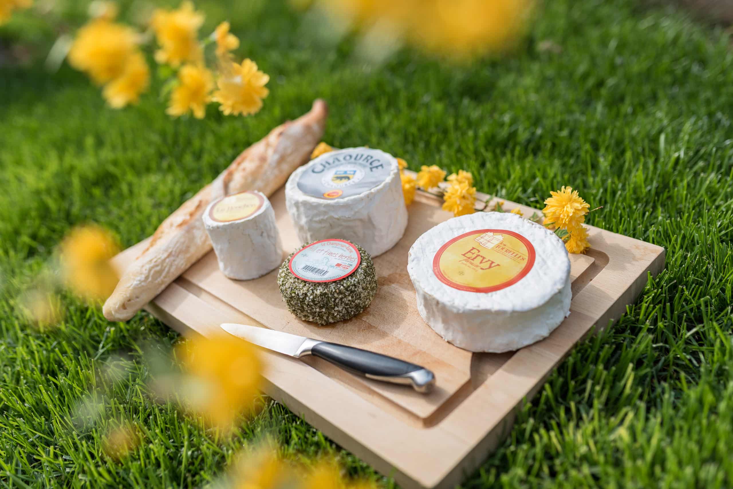 Produits du terroir de l’Aube (Côte des Bar) : andouillette, Chaource ...