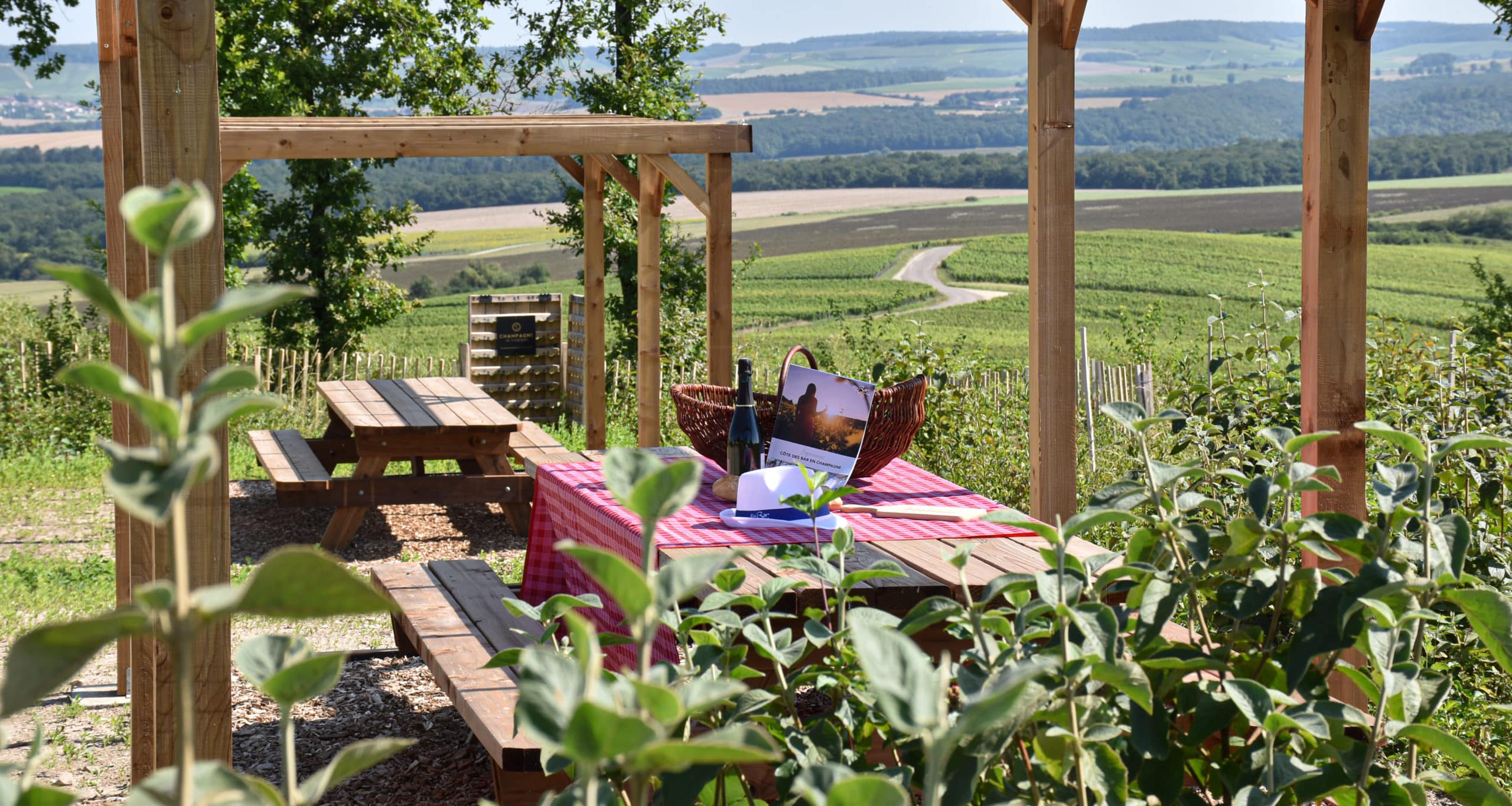 Nos aires de pique-nique | Côte des Bar en Champagne