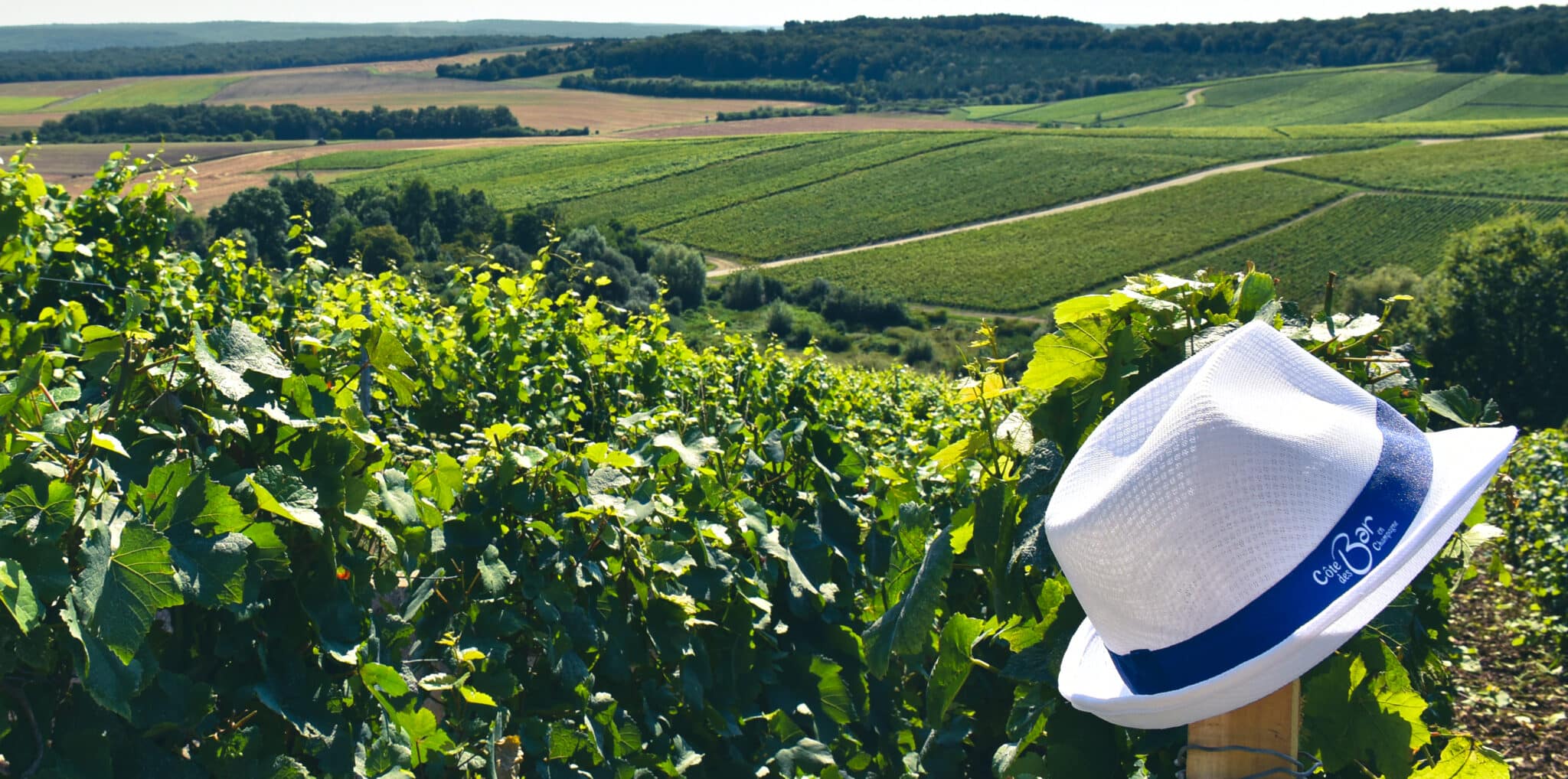 Visitez Bar-sur-Seine | Côte des Bar en Champagne